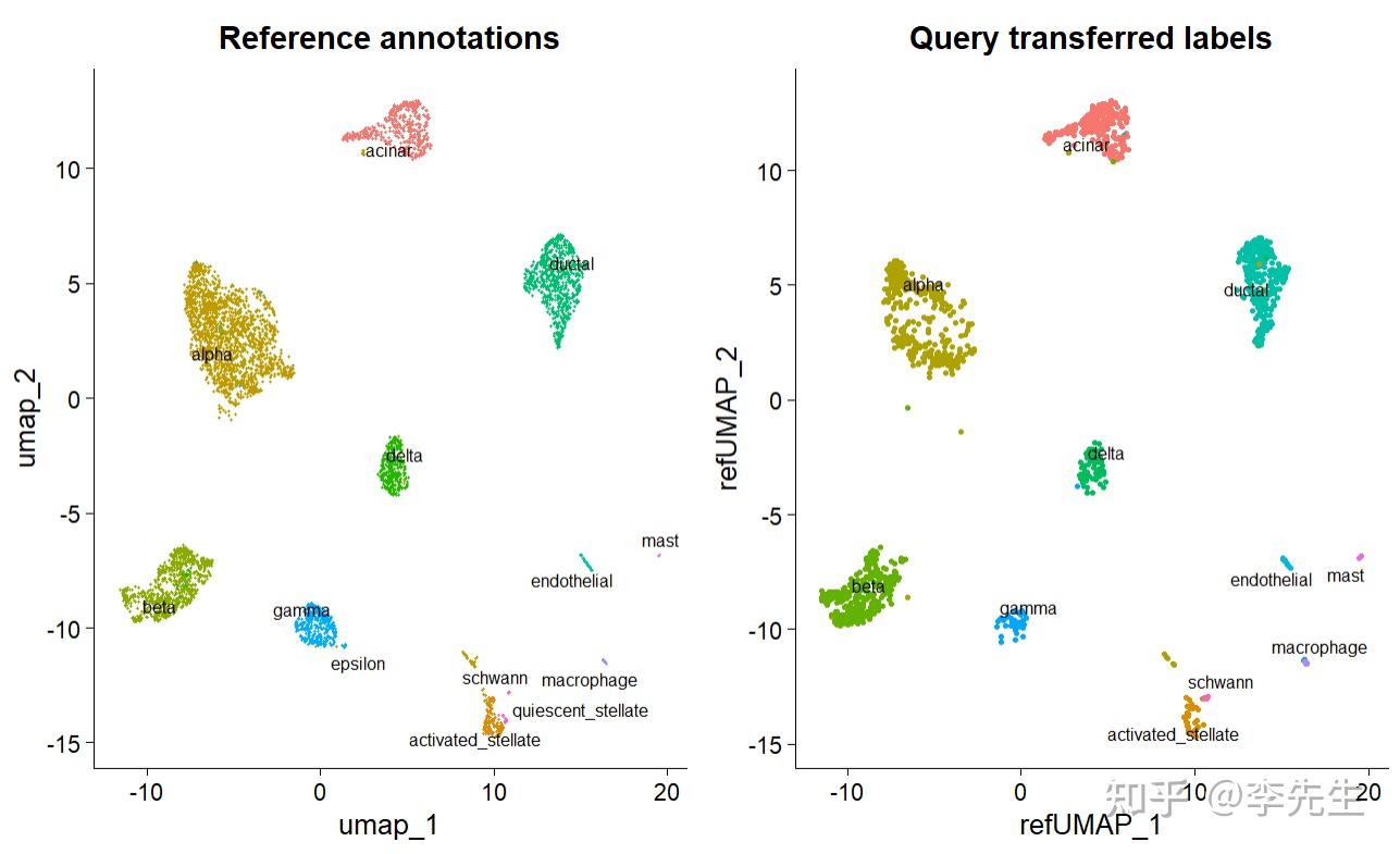 联合单细胞数据集进行细胞类型映射（seurat5.0）-Mapping and annotating query datasets - 知乎