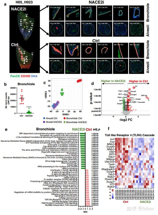 LabEx空间多组学整体解决方案 - 知乎
