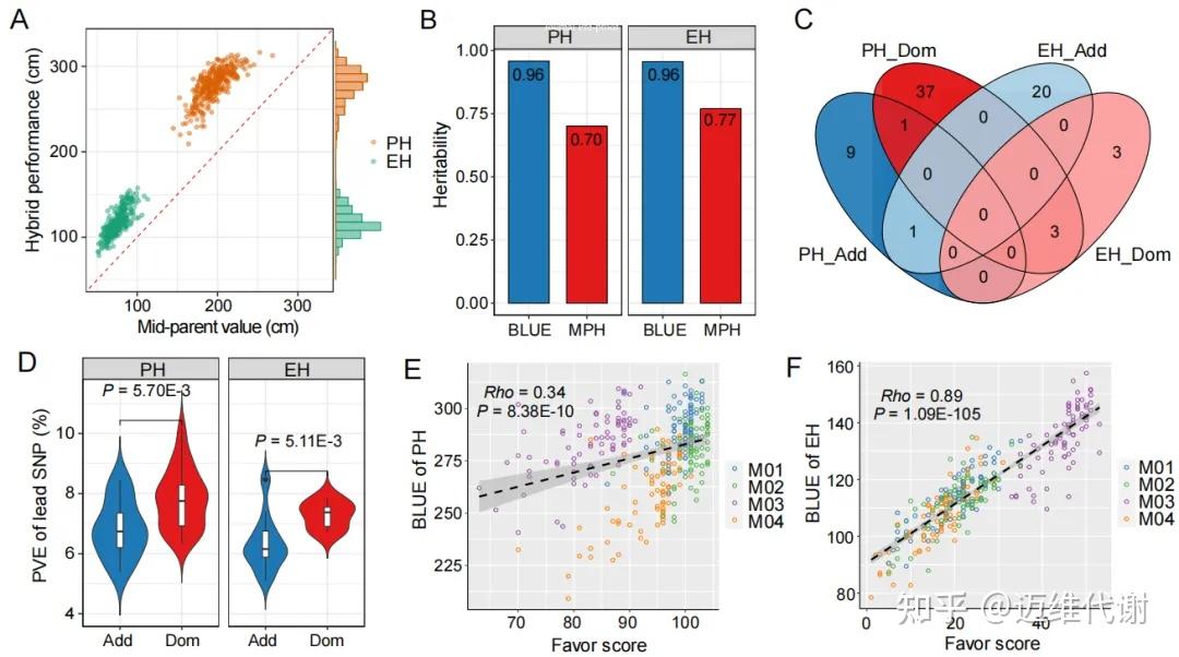 育种新进展！中国农科院GWAS鉴定bZIP29为玉米杂交优势关键基因 - 知乎