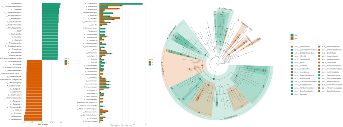 在线作图|在线做完整的Lefse分析 - 知乎