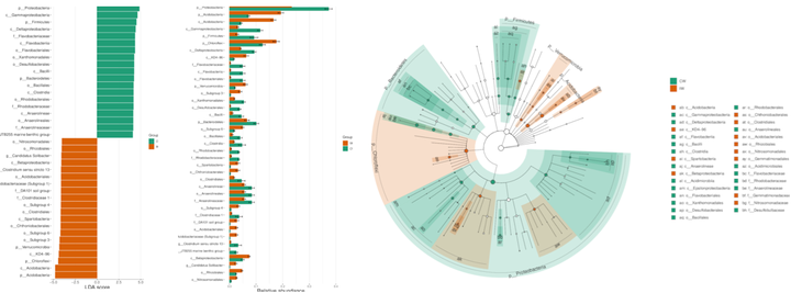 在线作图|在线做完整的Lefse分析 - 知乎