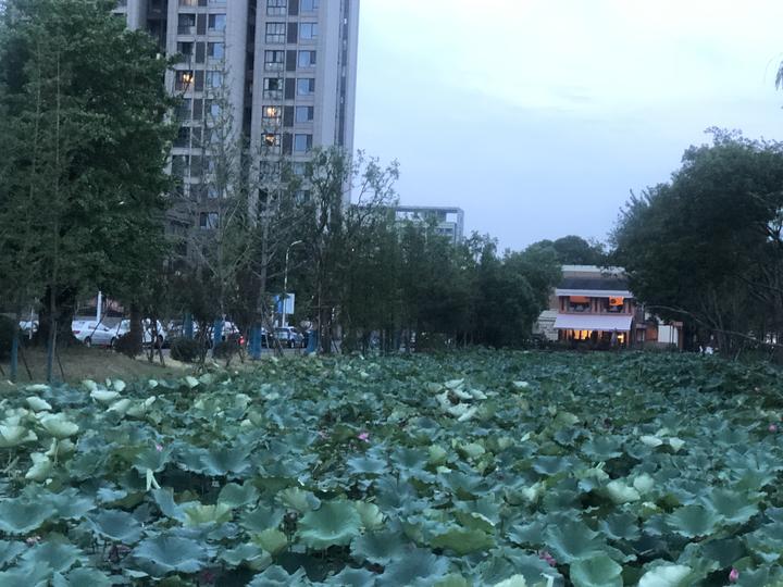 机器学习-理解Accuracy，Precision，Recall, F1 score以及sklearn实现 - 知乎