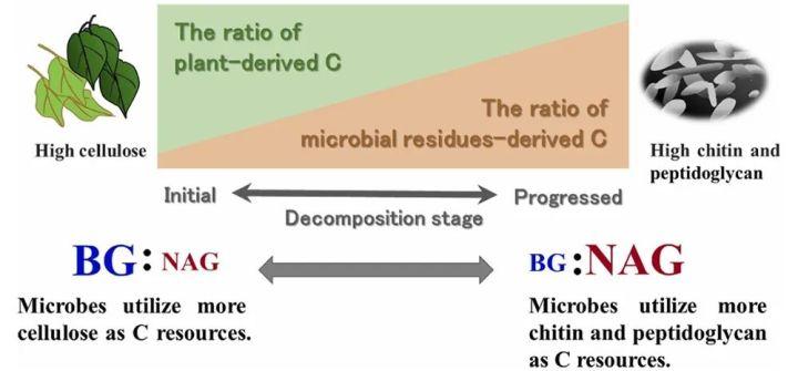 BG/NAG能否表征土壤微生物获取碳和氮的权衡关系？ - 知乎