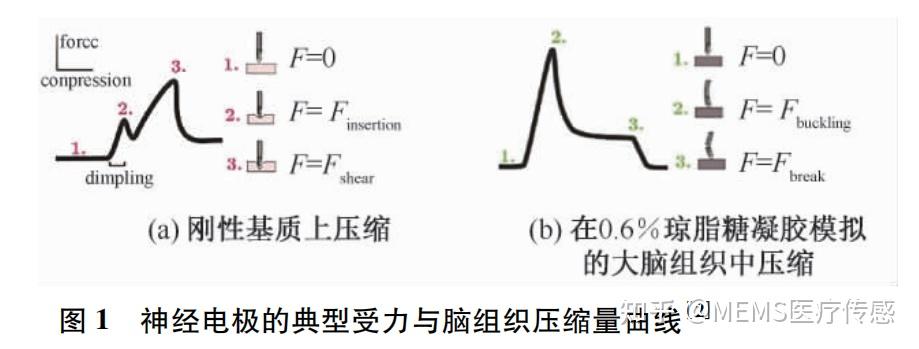 柔性神经电极植入策略 - 知乎
