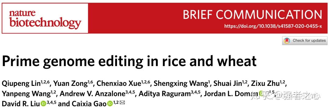 一文读懂植物基因编辑最新工具：Prime Editor - 知乎