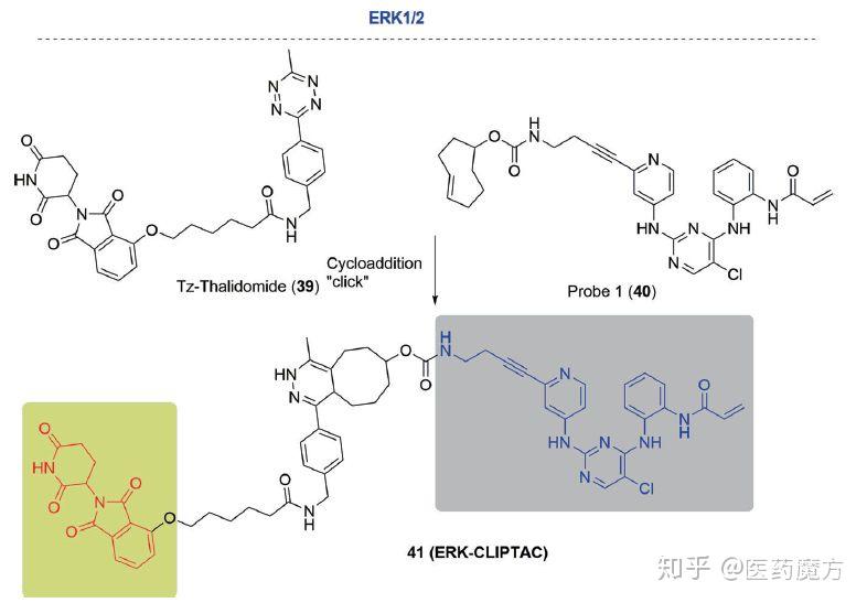 PROTACs：学术界和产业界的巨大机遇 - 知乎