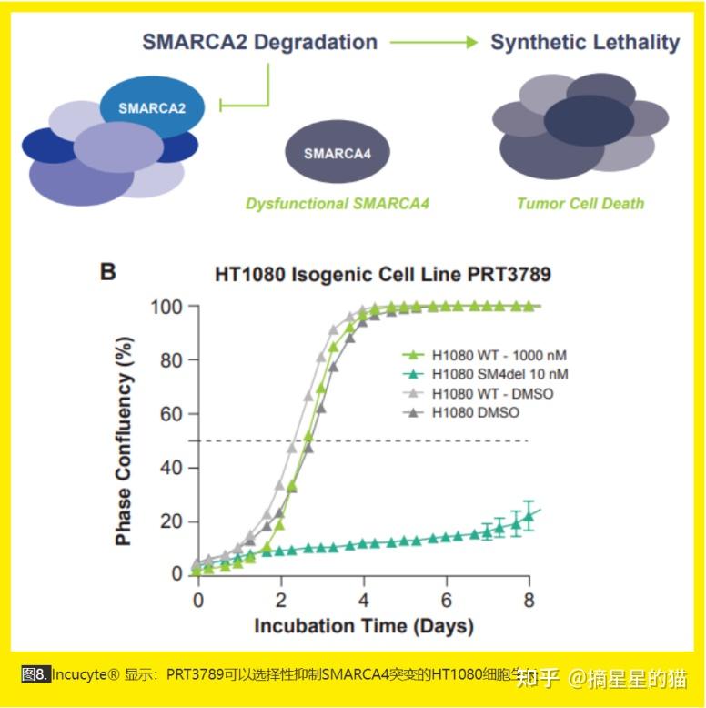 Incucyte实时活细胞成像系统在药物临床前研究中的作用 - 知乎