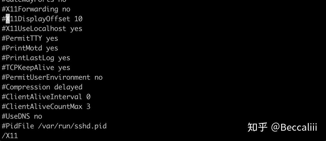服务器安装IGV并在本地电脑使用 - 知乎