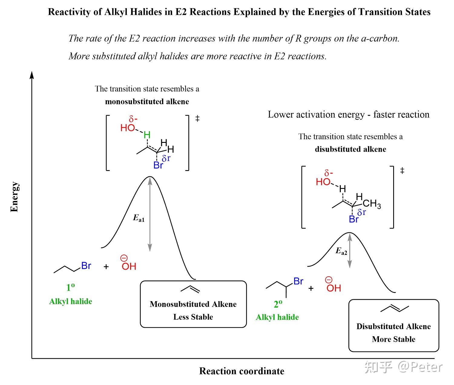 邢其毅《基础有机化学》学习笔记-卤代烃的消除反应 - 知乎