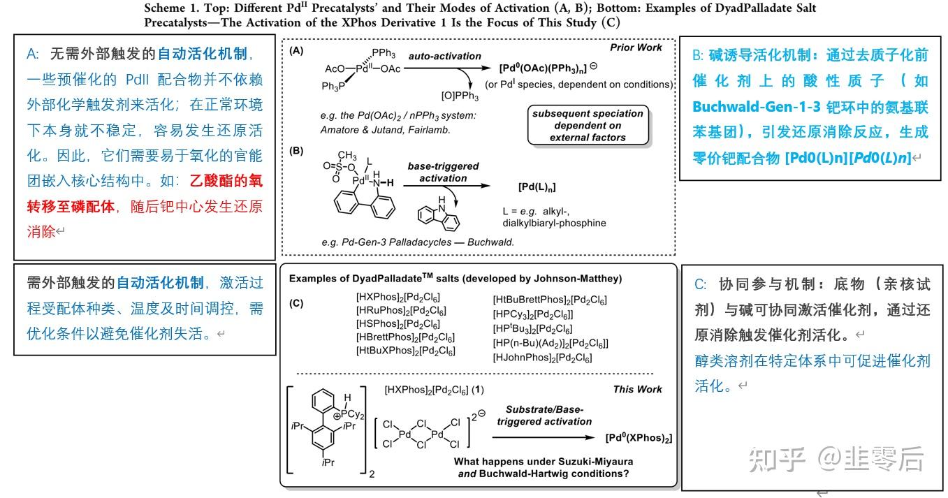 Suzuki-Miyaura和Buchwald-Hartwig交叉偶联中DyadPalladate预催化剂活化机制研究 - 知乎