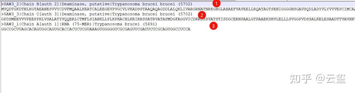 Alphafold 3使用教程分享 - 知乎