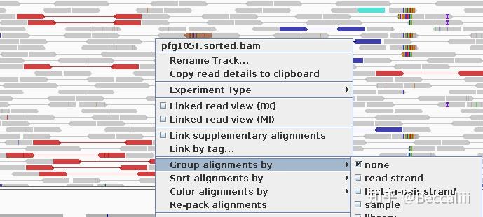服务器安装IGV并在本地电脑使用 - 知乎