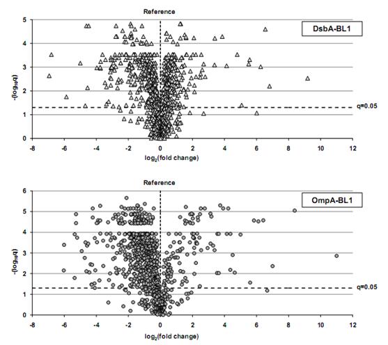 依赖于SecA/SecB定向的信号肽促进重组蛋白更高效分泌至周质 - 知乎