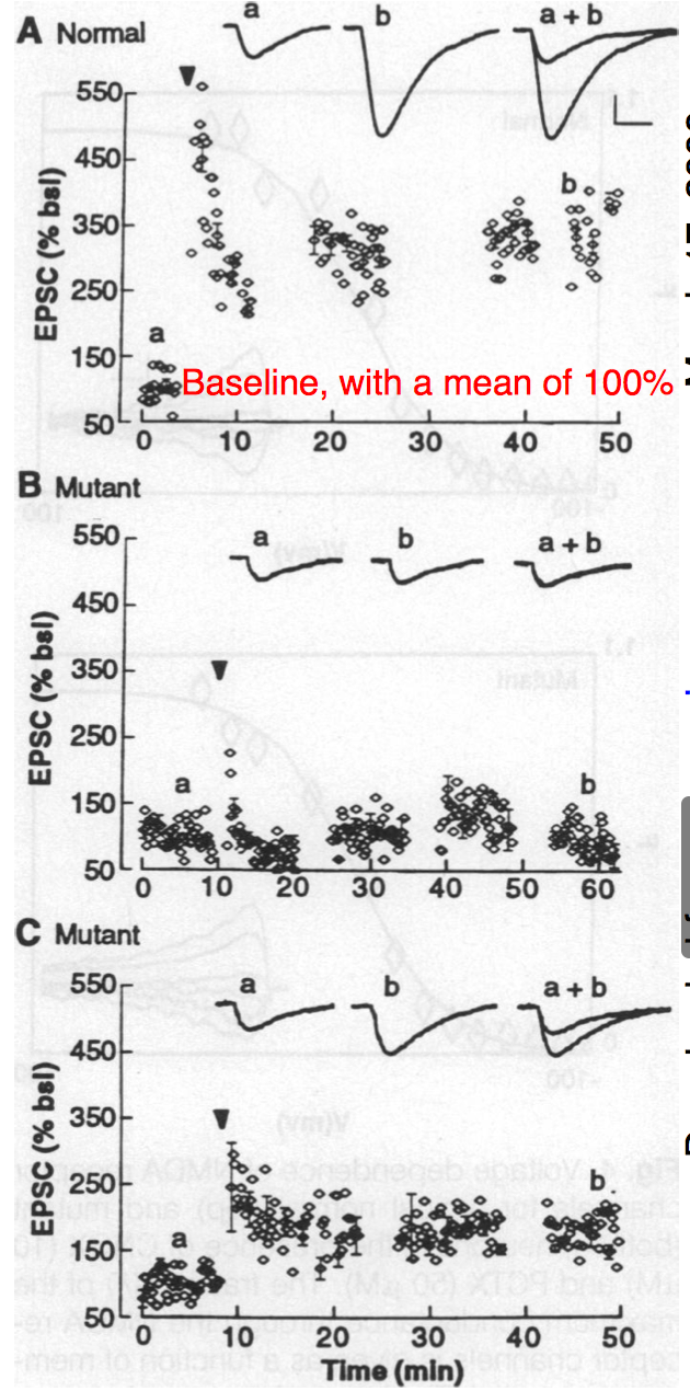 学习与记忆（四）：记忆分子机制的系列经典研究（上） - 知乎