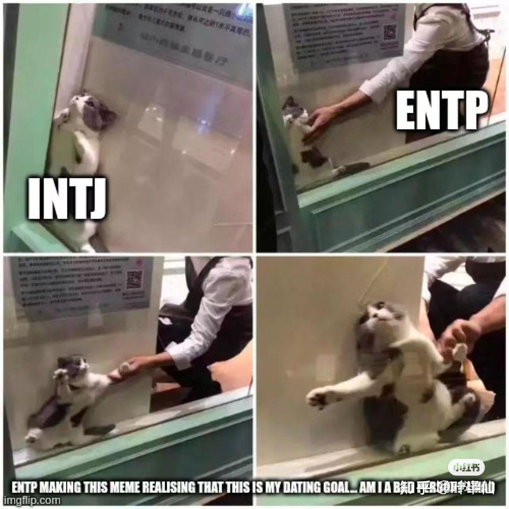 INTJ梗图一览 - 知乎