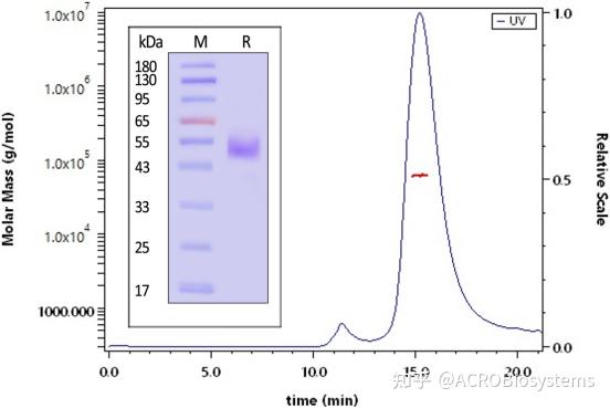 掀桌SCLC现有疗法：再鼎ZL-1310启动三期临床，对既往接受DLL3靶向治疗患者也能获益 - 知乎