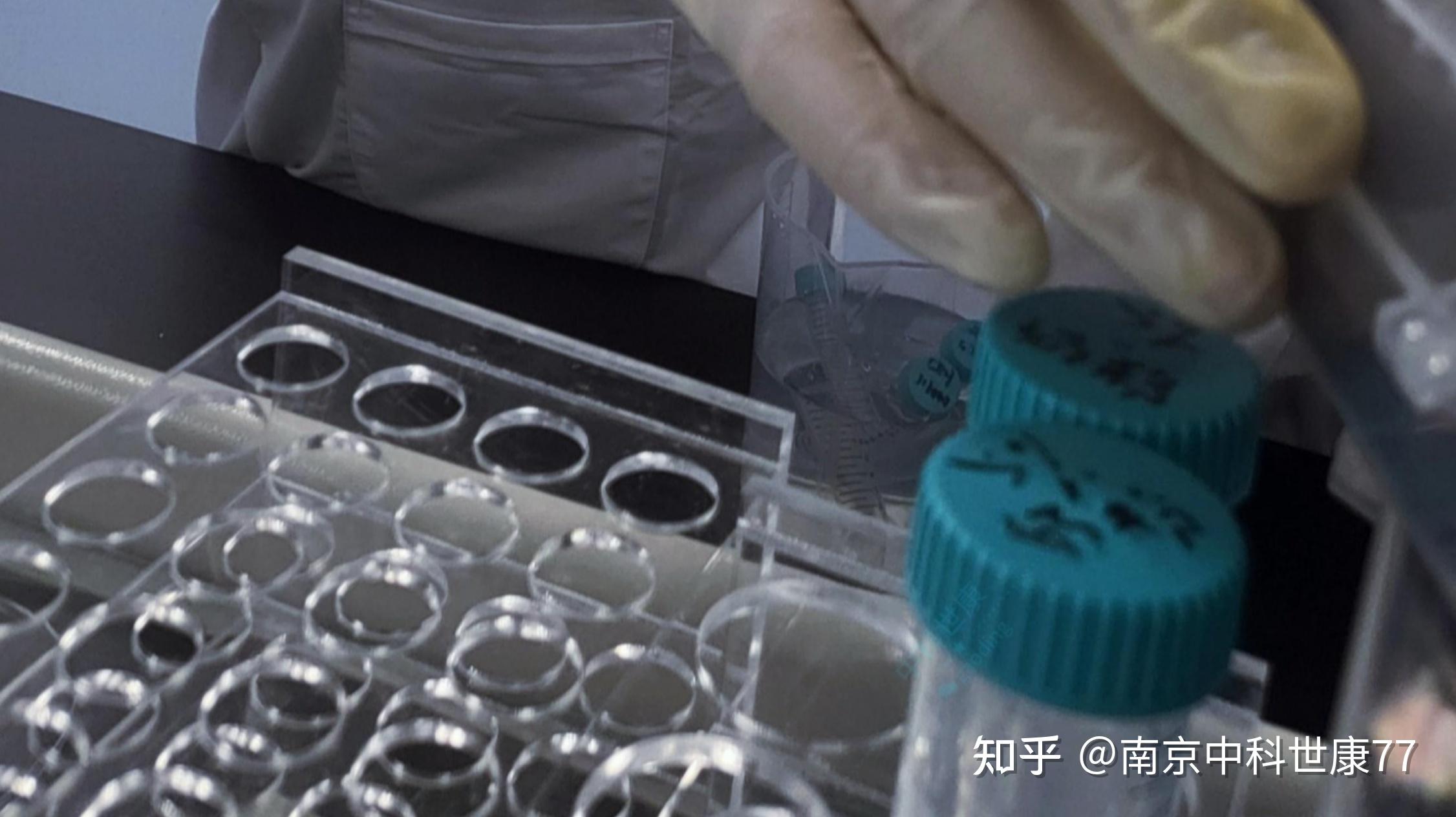 阿霉素诱导Wistar大鼠心力衰竭的造模步骤中科世康 - 知乎