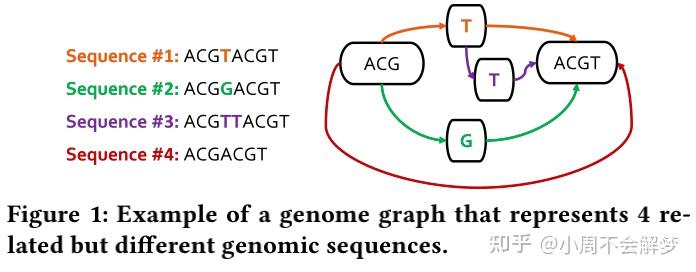 SeGraM: A Universal Hardware Accelerator for Genomic Sequence-to-Graph - 知乎
