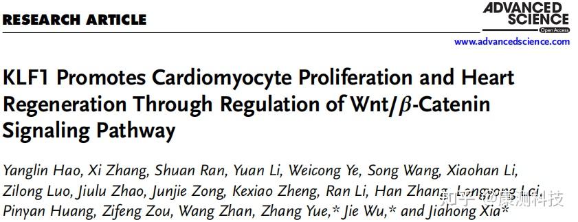 Adv. Sci.IF14.3|华中科技大学同济医学院附属协和医院揭示KLF1促进心肌细胞增殖和心脏再生的作用机制 - 知乎