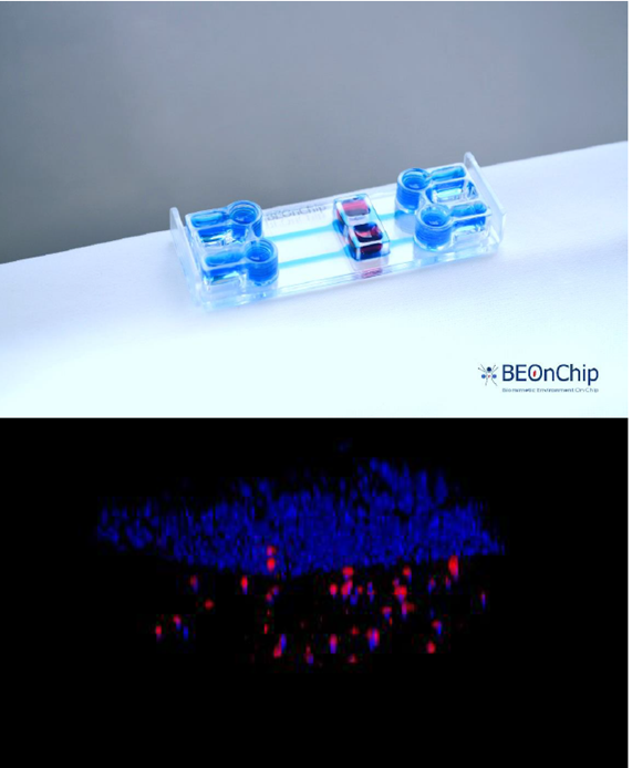 点成分享 | 选择点成BEOnChip芯片的六大理由 - 知乎