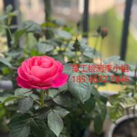 GJB150.9A湿热试验测试标准/方法详解 - 知乎