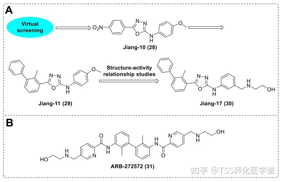 【JMC】免疫检查点PD-L1蛋白降解剂和调节剂研发现状 - 知乎