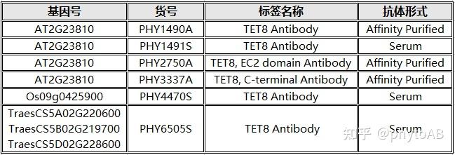 小抗体大作用—植物抗体TET8在开发生物医药递送载体上的应用 - 知乎