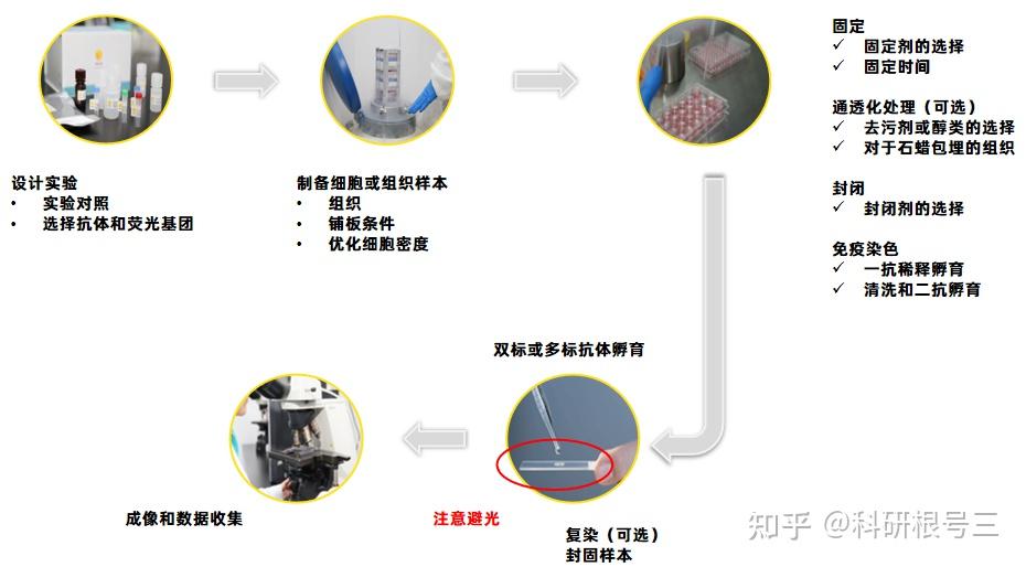IHC/ICC/IF/mIHC傻傻分不清楚？实验原理及全流程+常见问题详解！ - 知乎