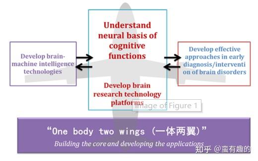 中国脑计划(China Brain Project)-Overview - 知乎