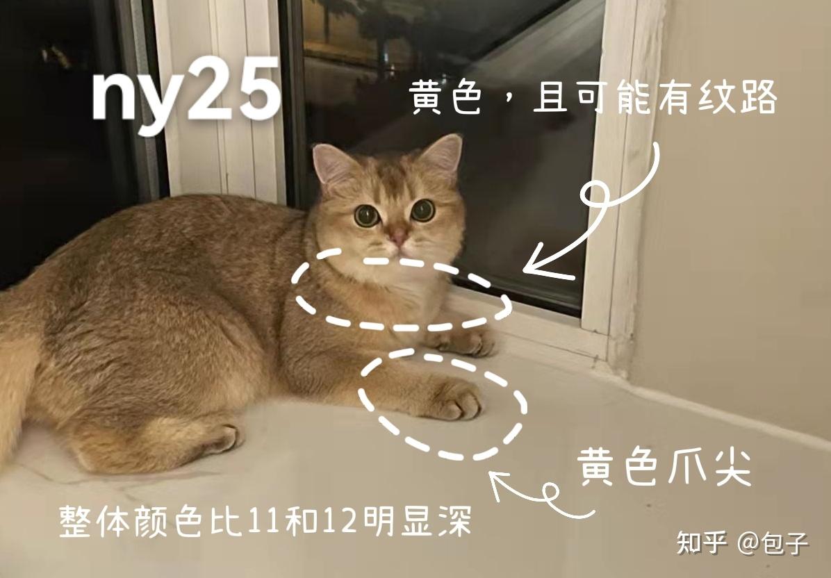 金渐层 | 一分钟教你学会看色号（ny11/ny12/ny25的含义及判断） - 知乎