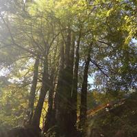 Linux中的mutex机制[一] - 加锁和osq lock - 知乎