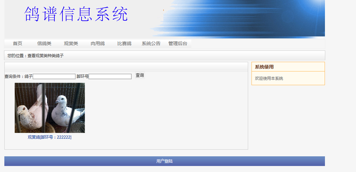 Java项目开发jsp编程软件鸽谱信息系统myeclipse开发mysql数据库计算机网页 知乎