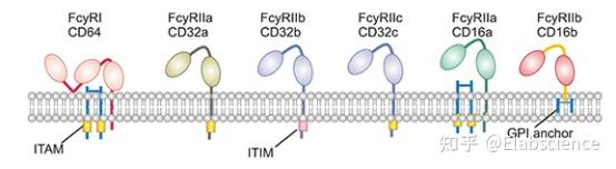 流式课堂 | FcR简介及其对流式实验结果的影响 - 知乎