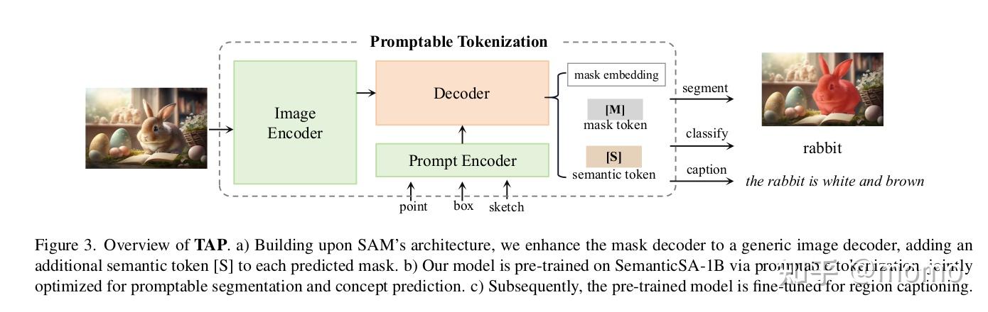 大模型-TAP (Tokenize Anything via Prompting) - 知乎