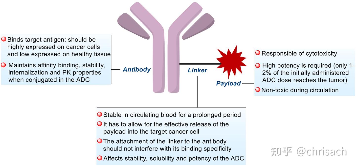 ADC药物Payload详解 - 知乎