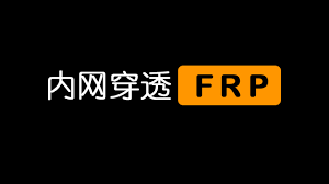 frp内网穿透教程|NAS没有公网IP？99元解决极空间/绿联/黑群晖外网访问问题 - 知乎