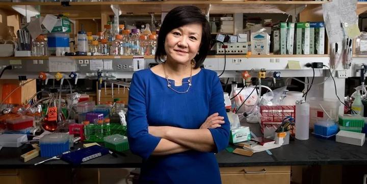 Nature：蔡立慧团队揭示阿尔茨海默病基因APOE4是如何破坏大脑的 - 知乎