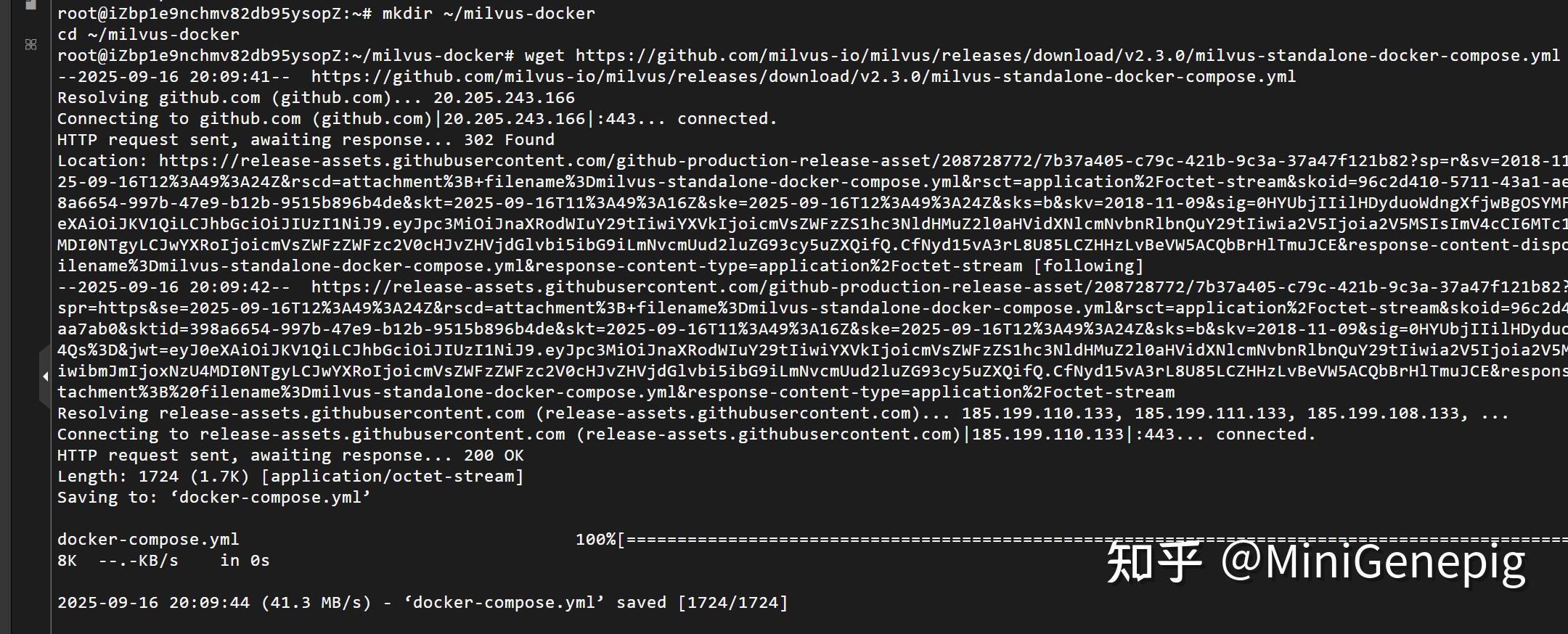 DSW link to ECS docker Milvus - 知乎