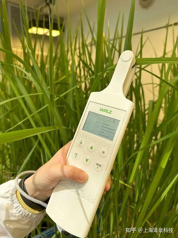 植物多酚叶绿素荧光仪LSA-2050 - 知乎