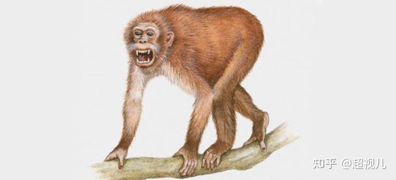 古近纪——哺乳动物的崛起 - 知乎