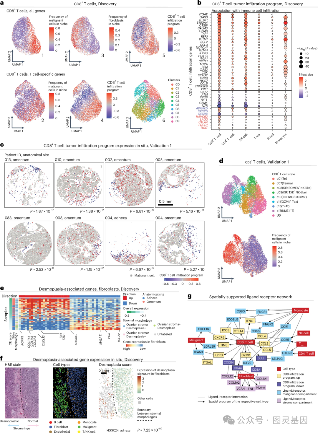 Nat Immu | 卵巢癌免疫逃逸的空间组织和细胞调节因子 - 知乎