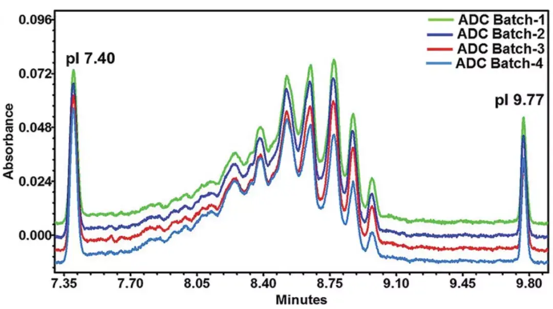 ADC药物关键质量属性的考量因素 - 知乎