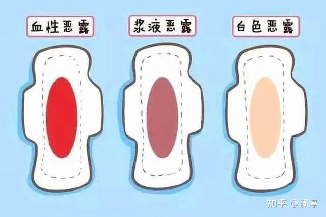 超详细产后身体恢复指南，产后修复不走弯路！ - 知乎