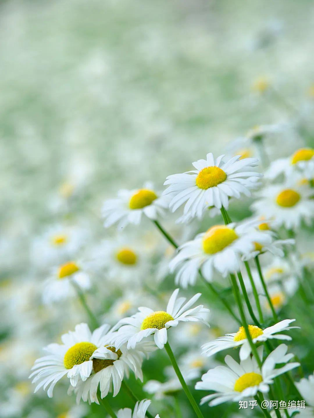 引用的文献如何正确著录？这些例子告诉你 - 知乎