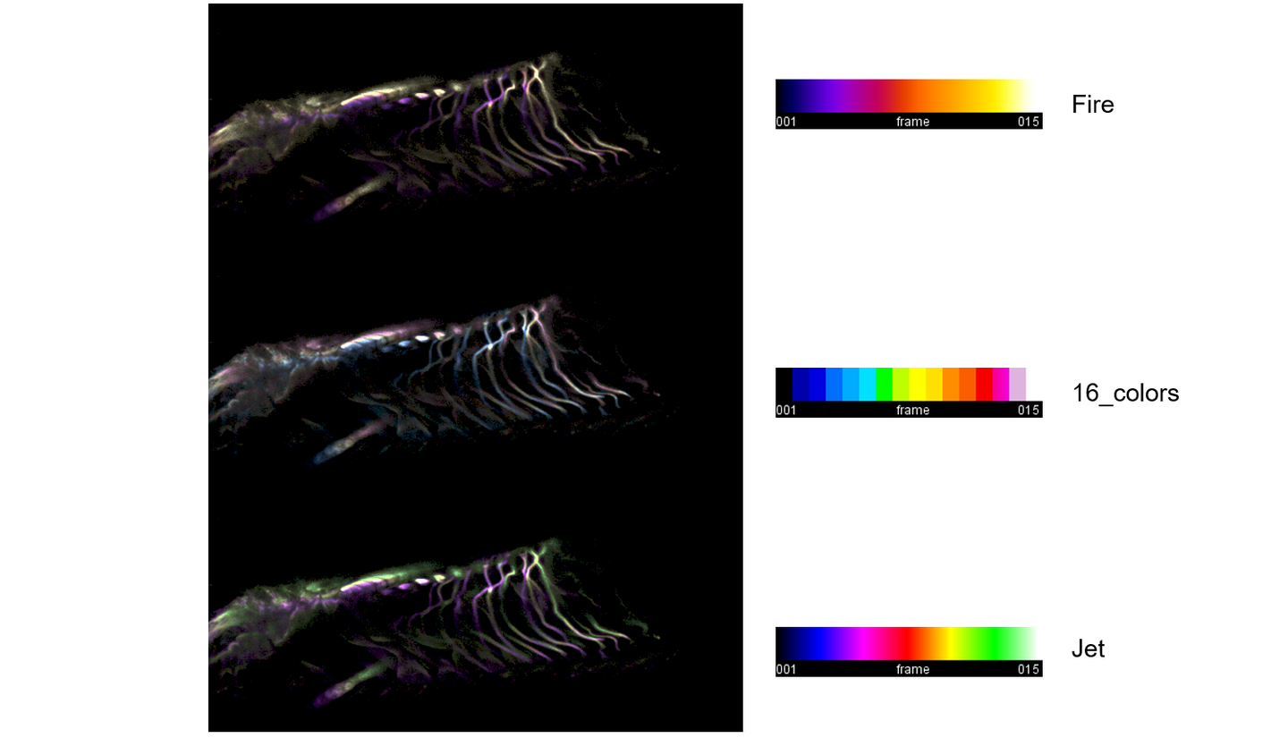 ImageJ实用教程——Depth-Color Code(插件篇) - 知乎