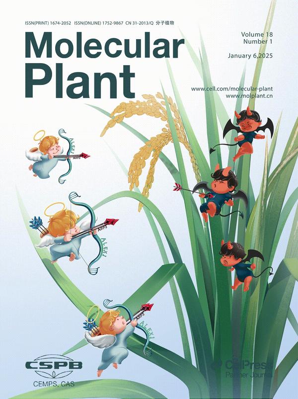 《Molecular Plant》封面设计全过程分享 | Vol.18 No.1 - 知乎