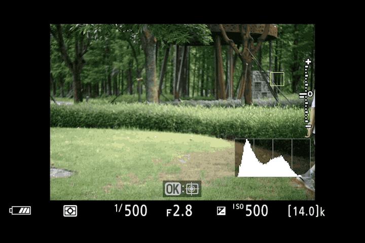 【a7club实战为王系列】唯卓仕 NF-Z 自动对焦转接环评测 - 知乎