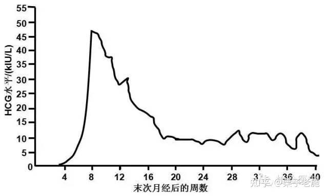 尿液HCG VS 血液HCG，谁更准确？ - 知乎