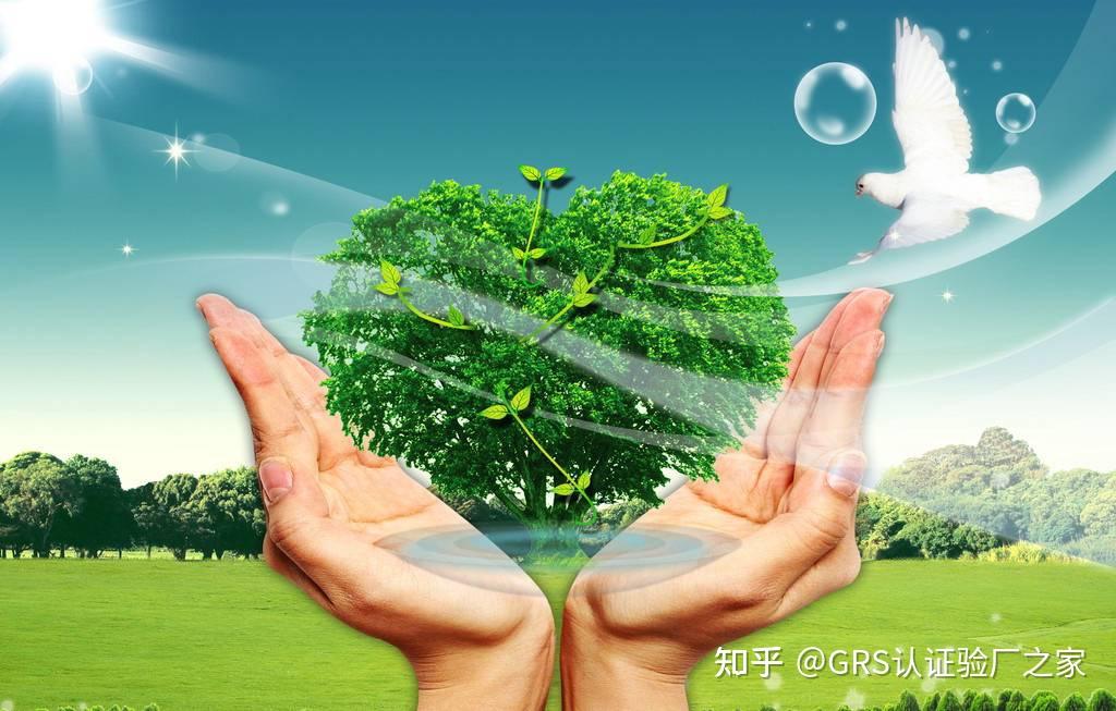 EN 15343再循环塑料认证：助力企业迈向可持续未来 - 知乎