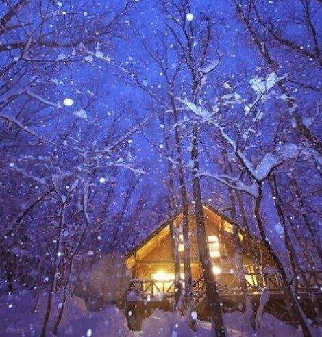 飘雪的冬天 - 知乎